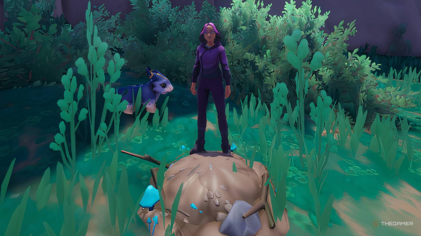 How To Find Rummage Piles In Palia