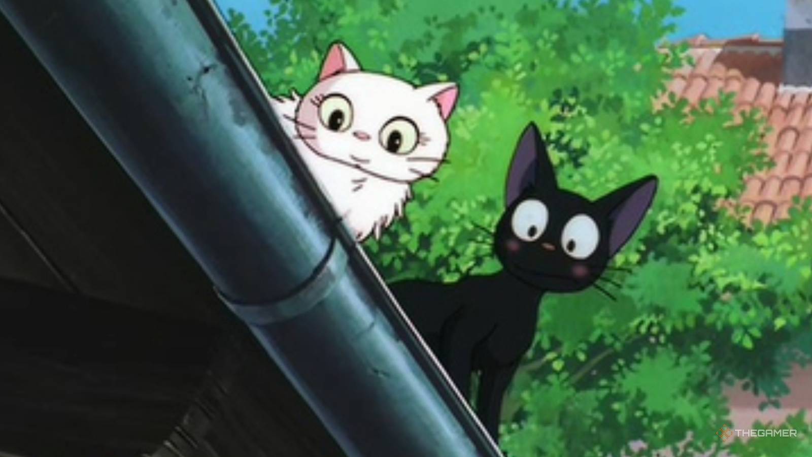 Even Casual Anime Fans Will Recognise These Iconic Anime Pets
