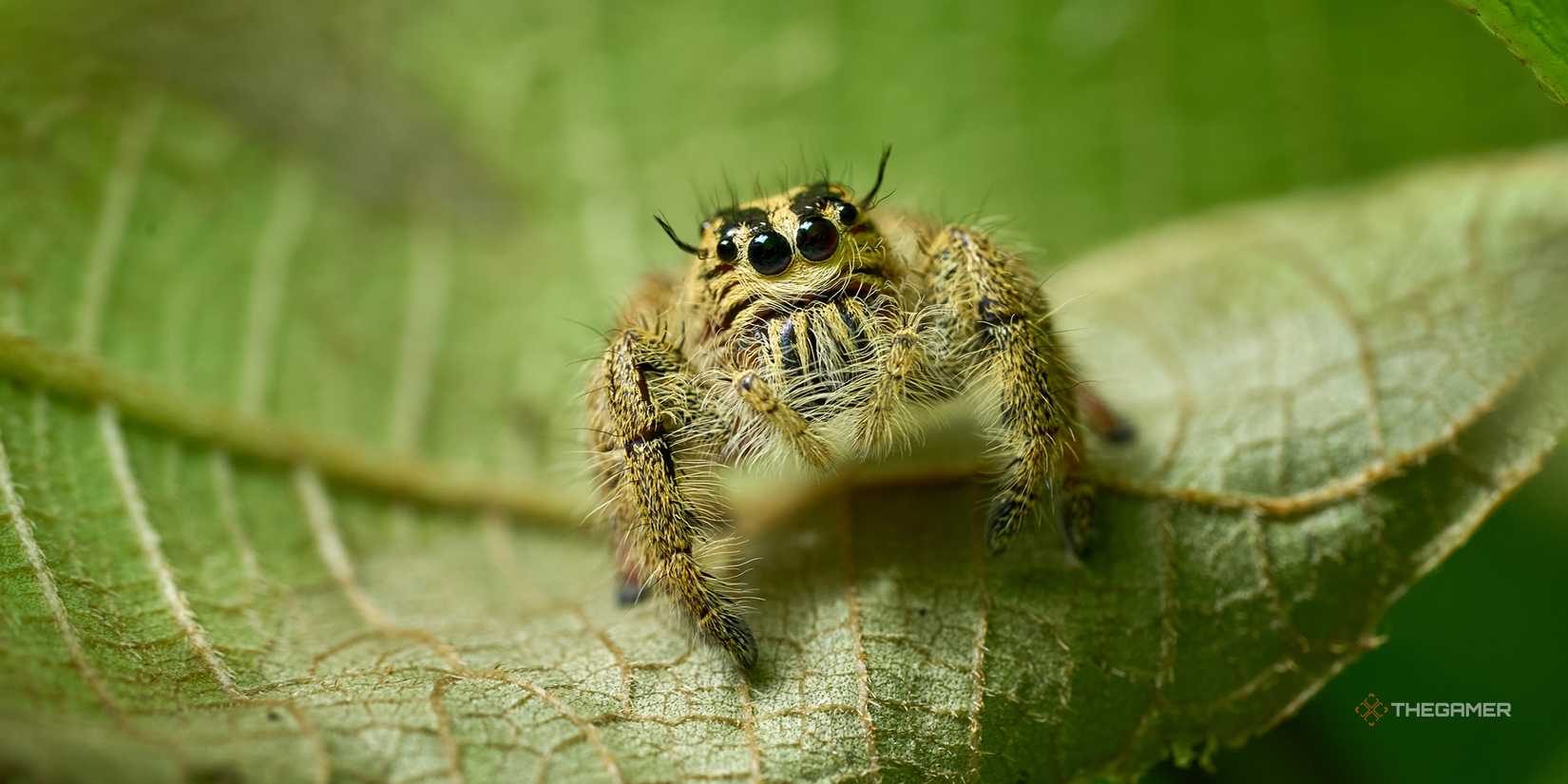 These Are The Bugs We Want To See In Grounded 2