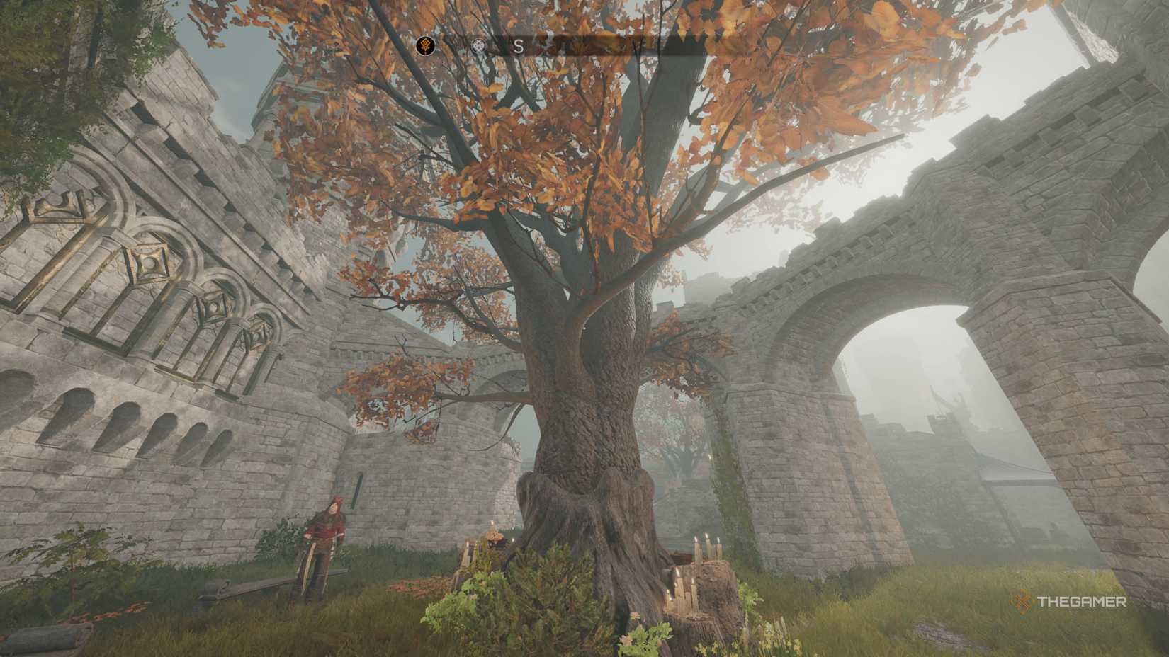 The Best Carnation Locations In Tainted Grail: The Fall Of Avalon