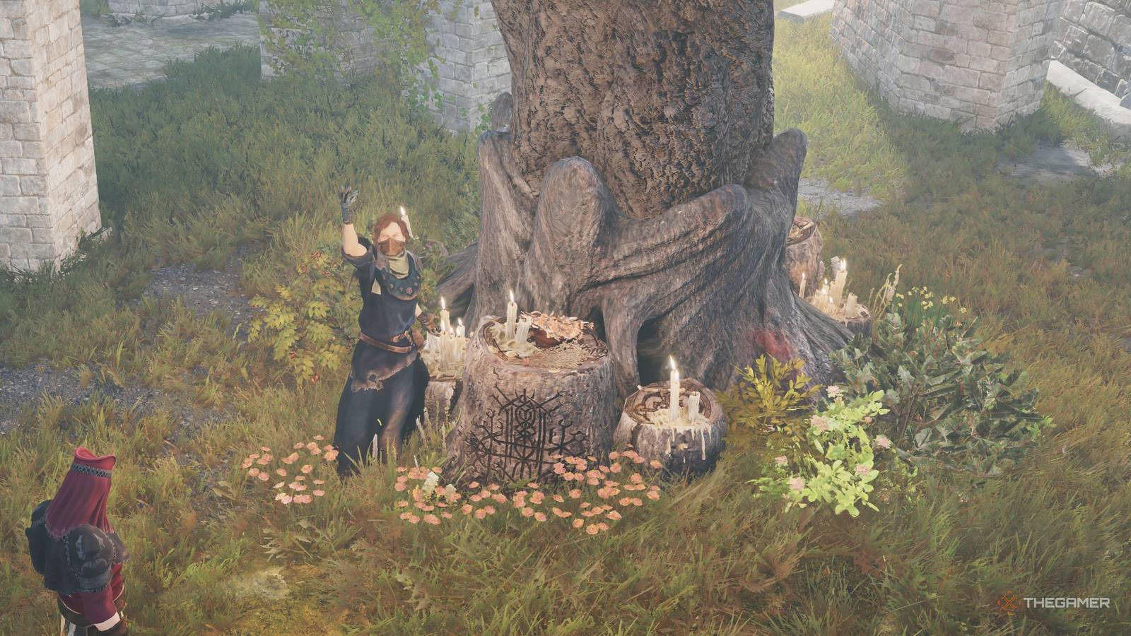 The Best Carnation Locations In Tainted Grail: The Fall Of Avalon