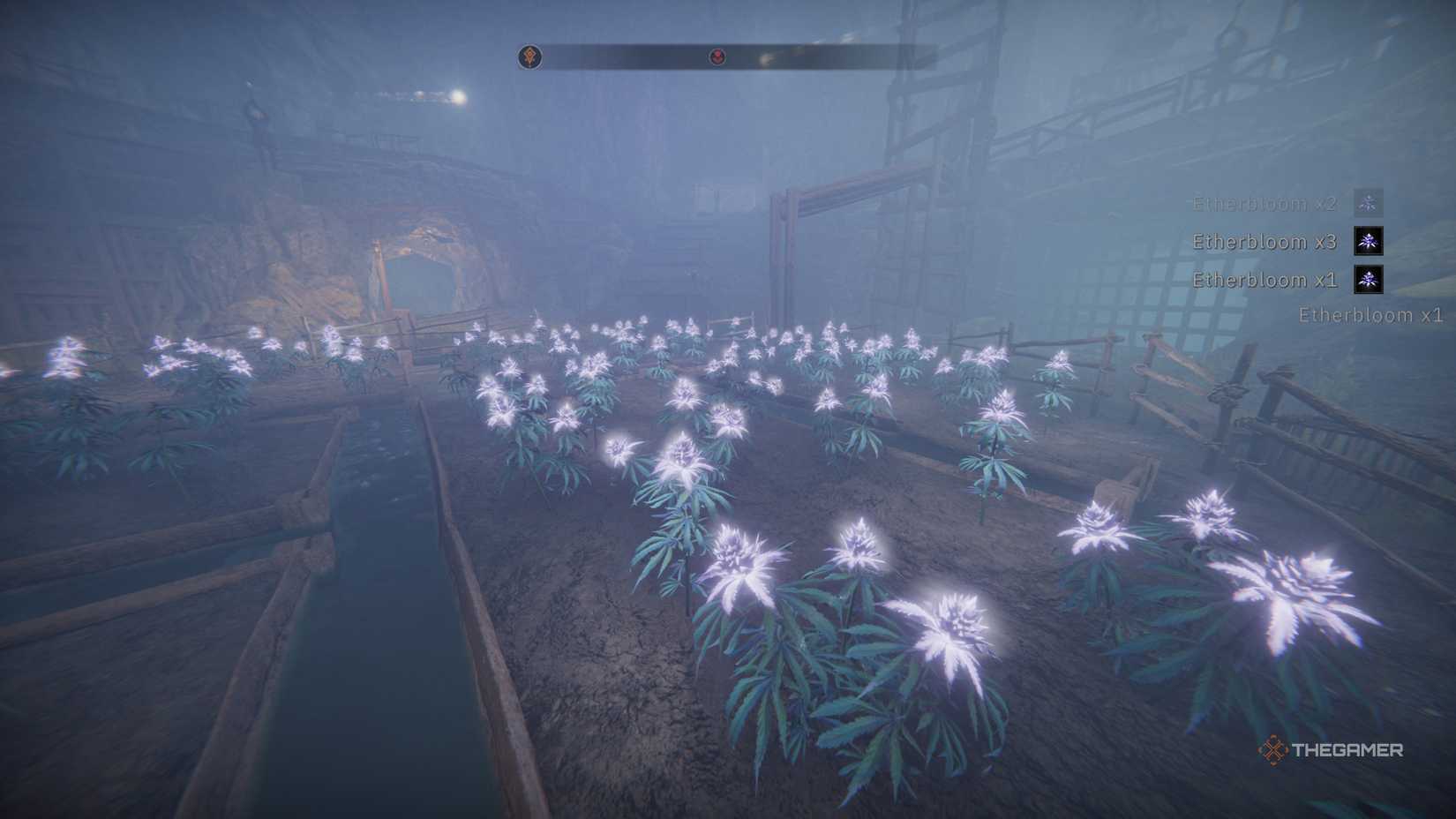 Where To Find Etherbloom In Tainted Grail: The Fall Of Avalon