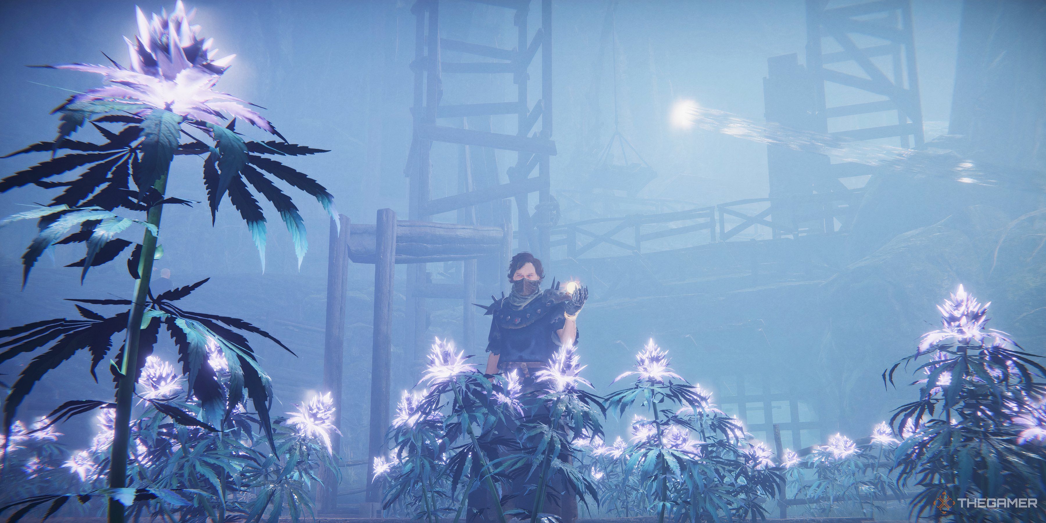 How To Find The Letter From A Shady Merchant In Tainted Grail: The Fall ...