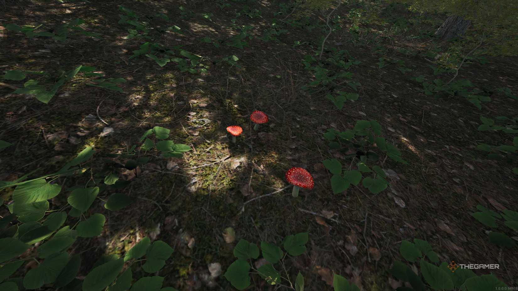 Which Mushrooms Can You Eat In Scum?