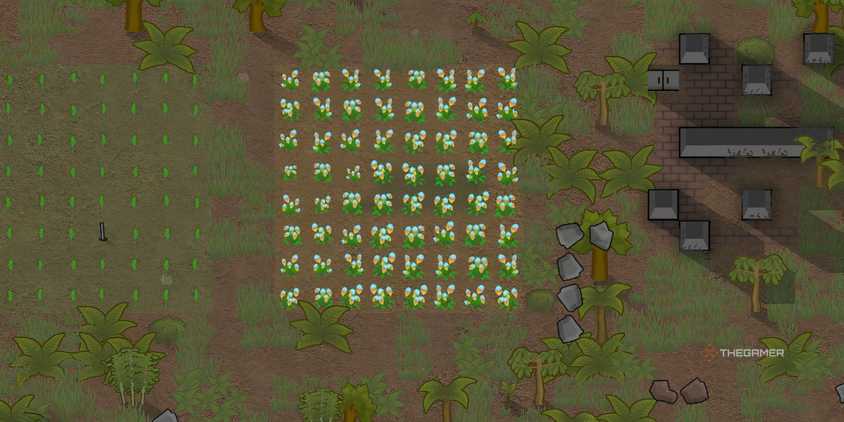 All Room Types In Rimworld