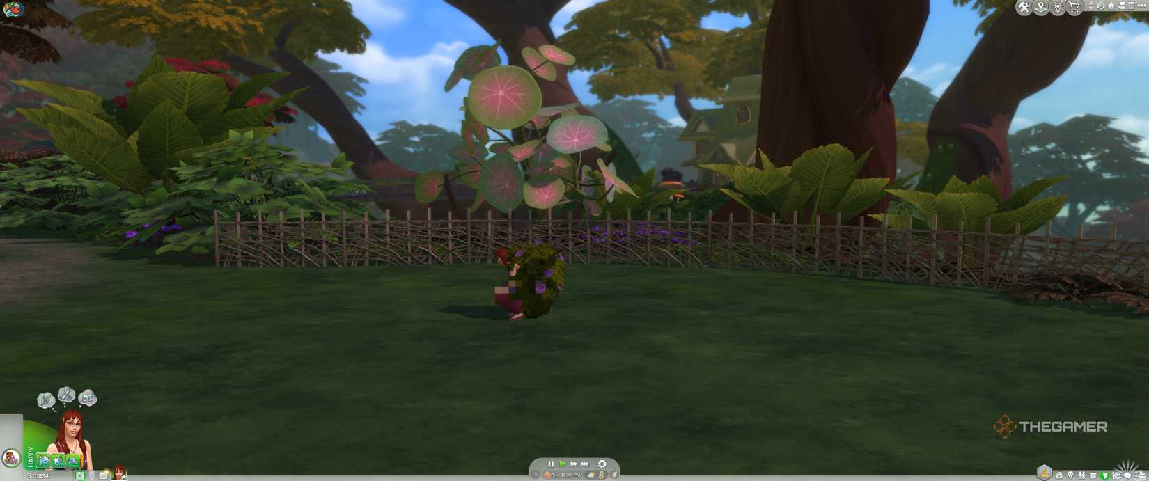 How To Survive Outdoors With Natural Living In The Sims 4: Enchanted By ...