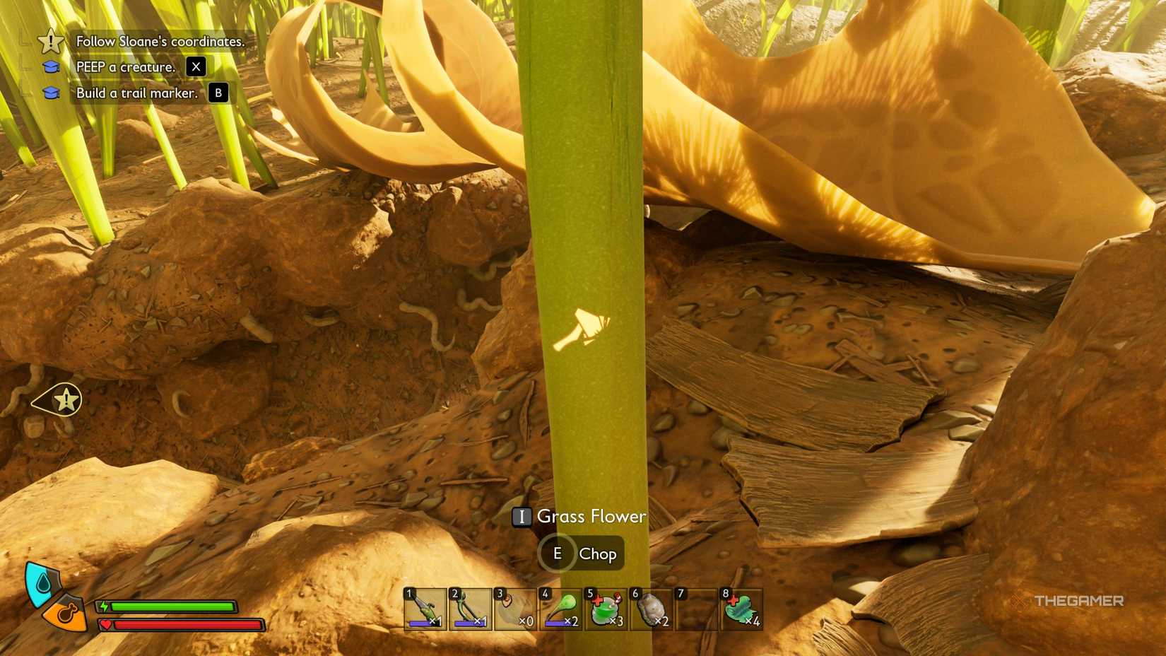 Where To Find Grass Seeds In Grounded 2