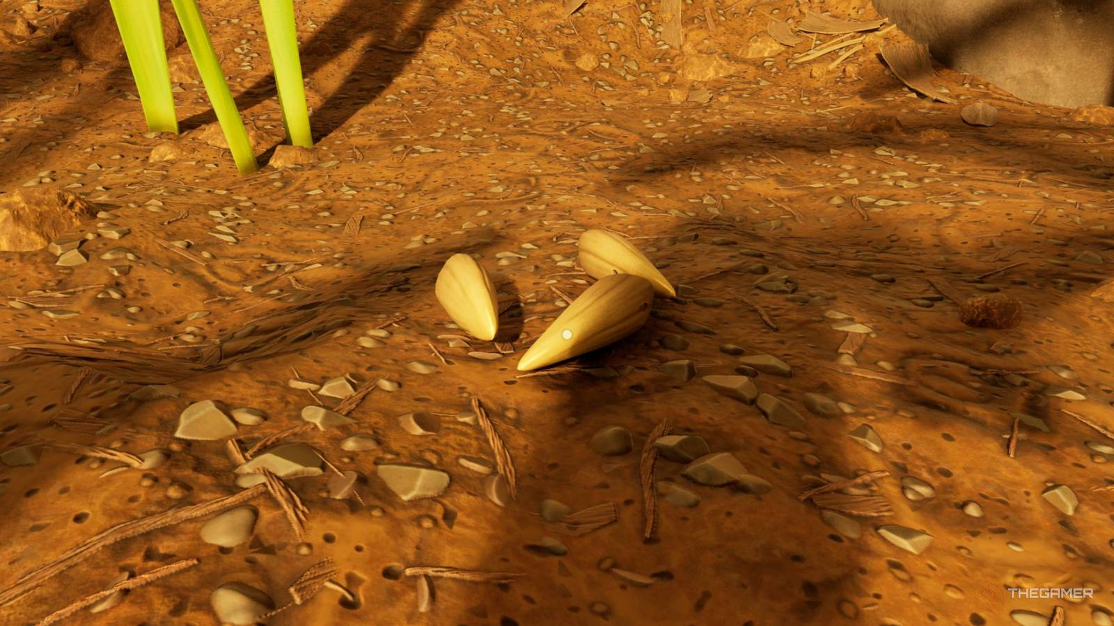 Where To Find Grass Seeds In Grounded 2