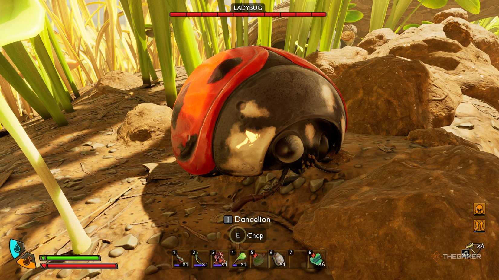 Things We Wish We Knew Before Playing Grounded 2