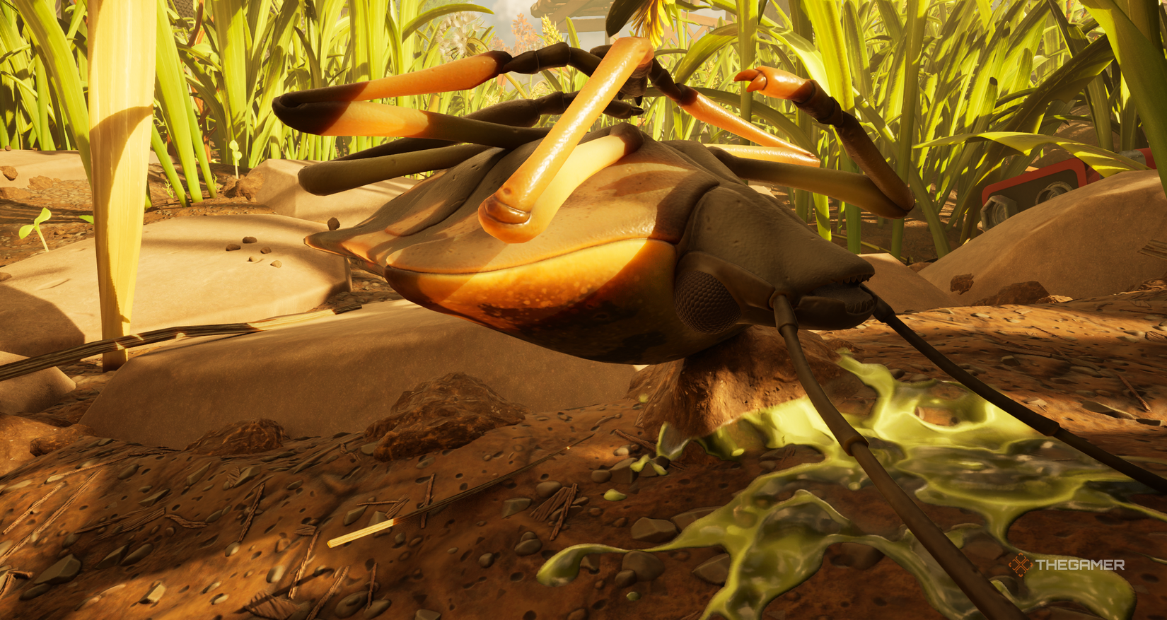 How To Get And Use The Gas Mask In Grounded 2