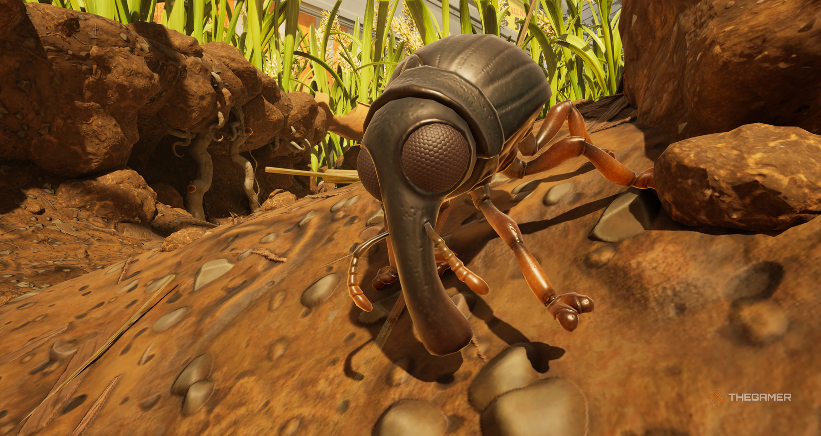 How To Get And Use The Gas Mask In Grounded 2