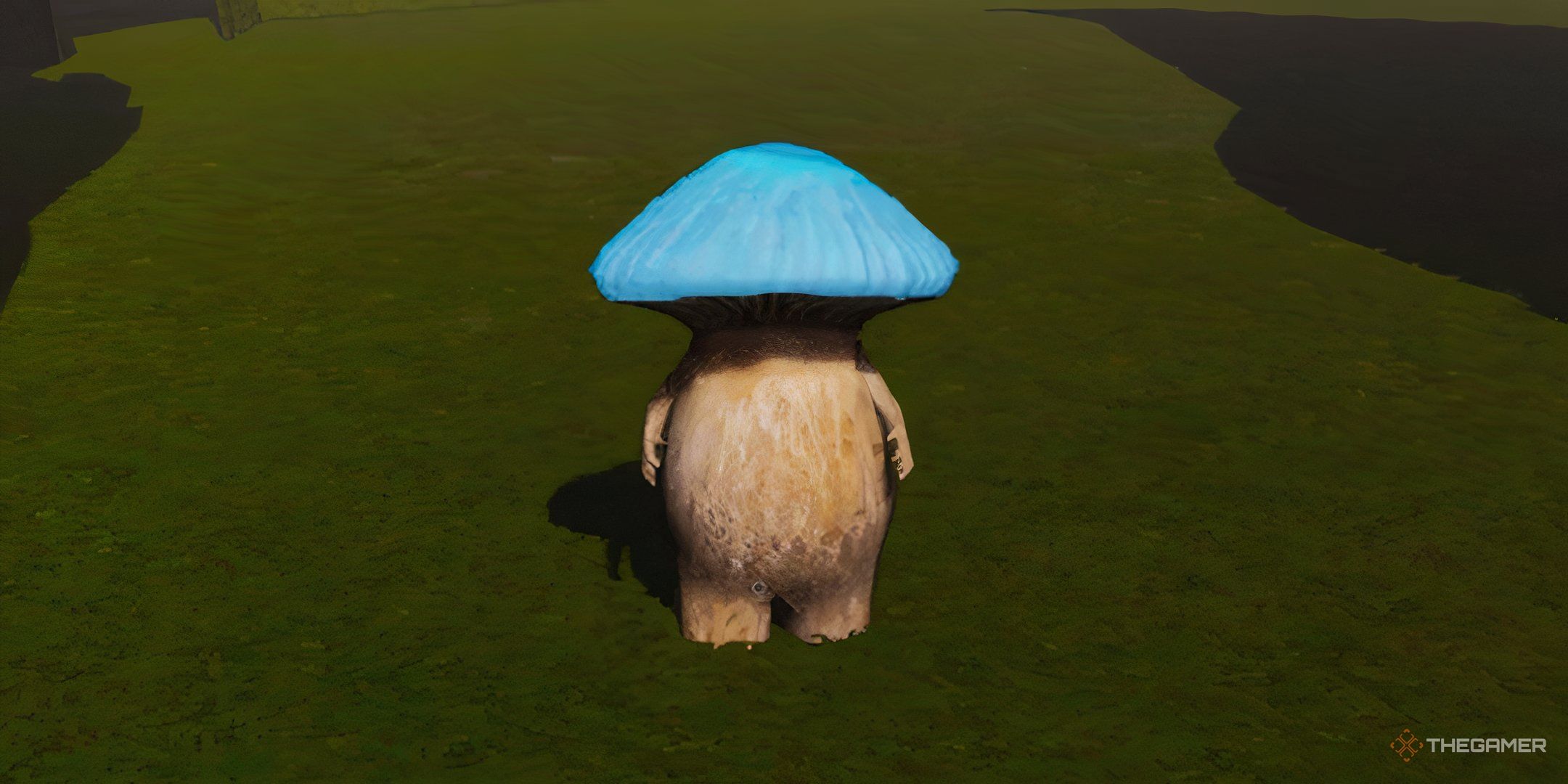 How To Get More Spells In Mage Arena