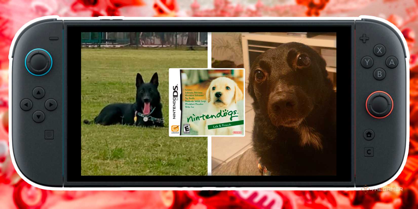 Things To Do While Waiting For The Switch 2 To Get Some Games