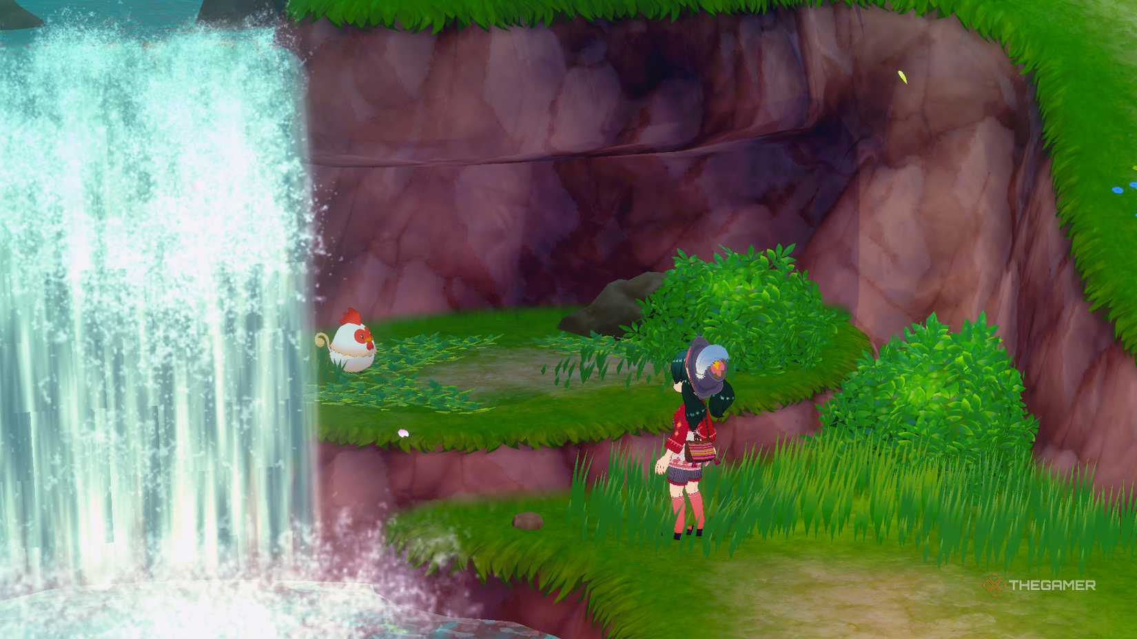 Where To Find All Runaway Chickens In Story Of Seasons: Grand Bazaar