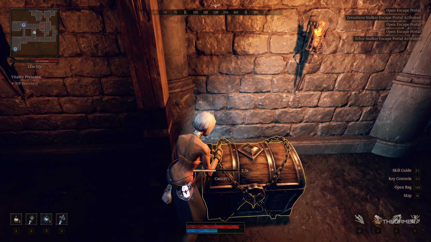 Best Build, Runes, Stats, And Equipment For Rio In Dungeon Stalkers