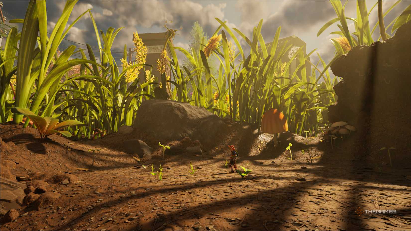 Where To Build Your First Base In Grounded 2