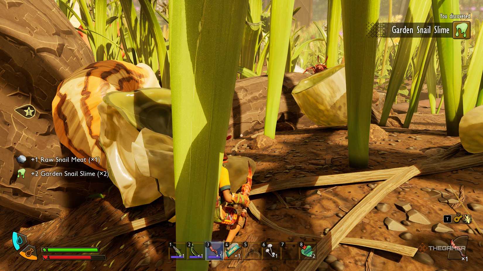 How To Hit The Garden Snail In Grounded 2