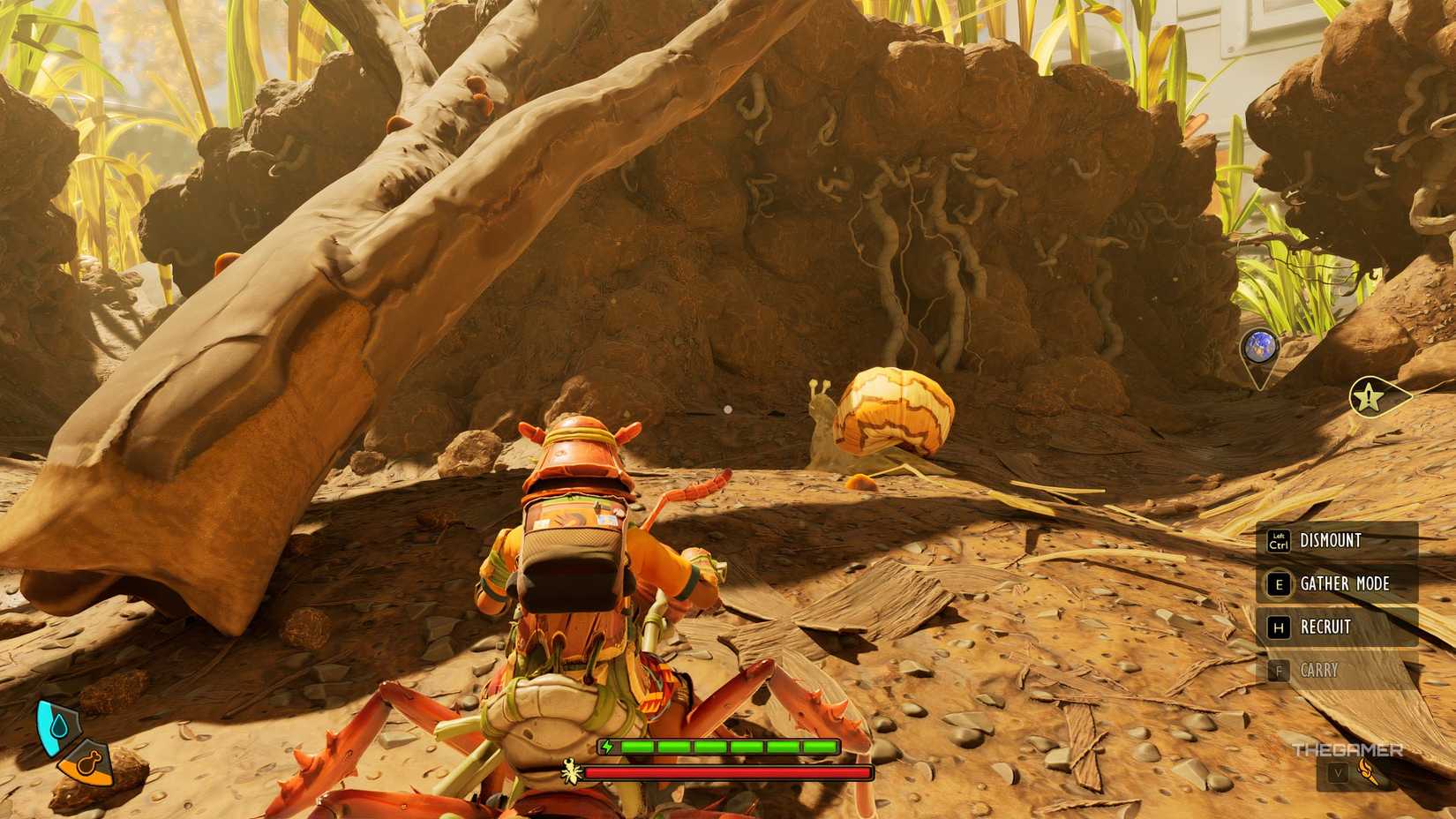 How To Hit The Garden Snail In Grounded 2