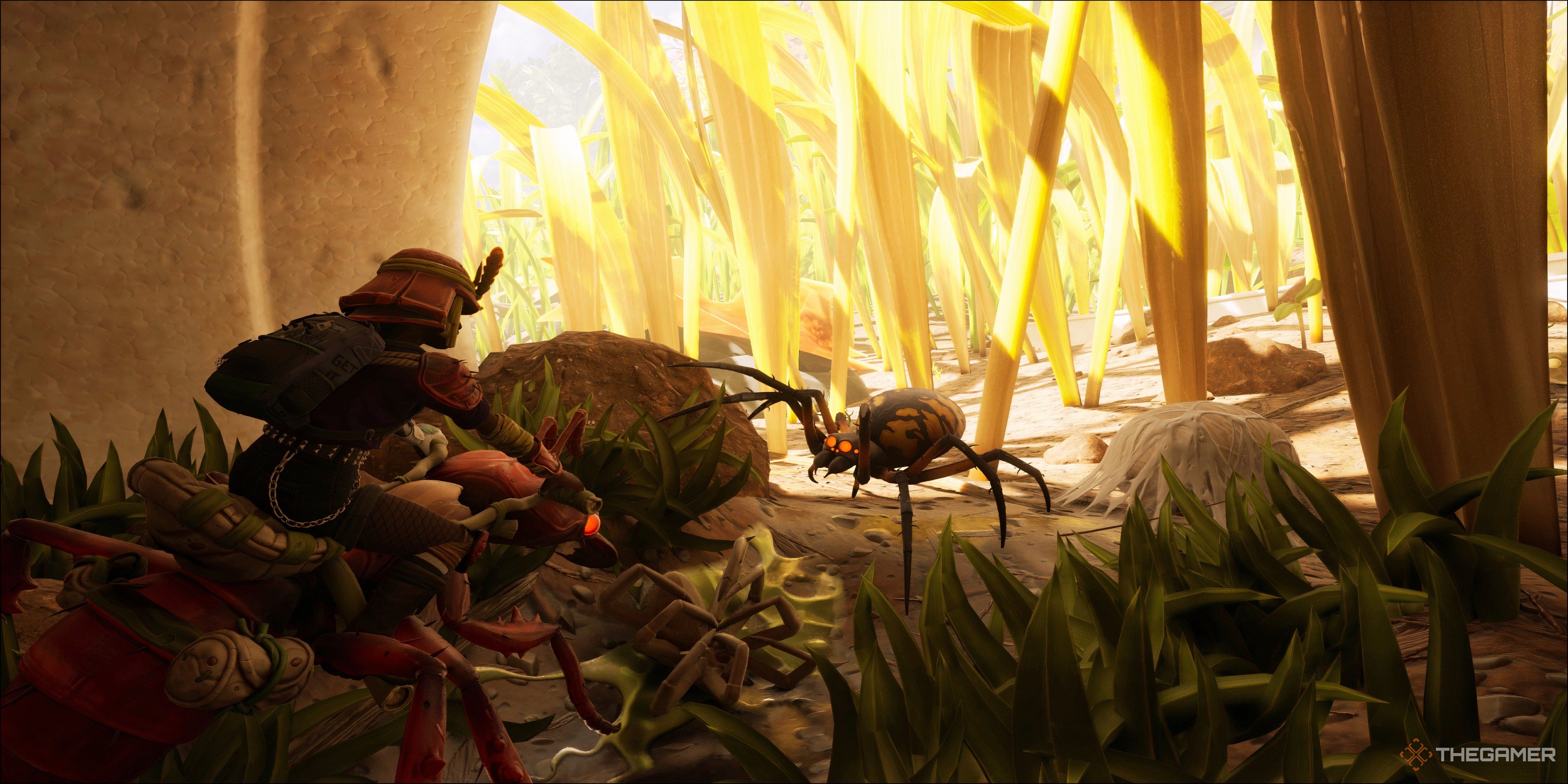 Where Can You Find Spiders In Grounded 2?