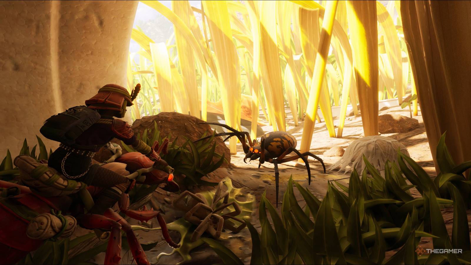 Where Can You Find Spiders In Grounded 2?