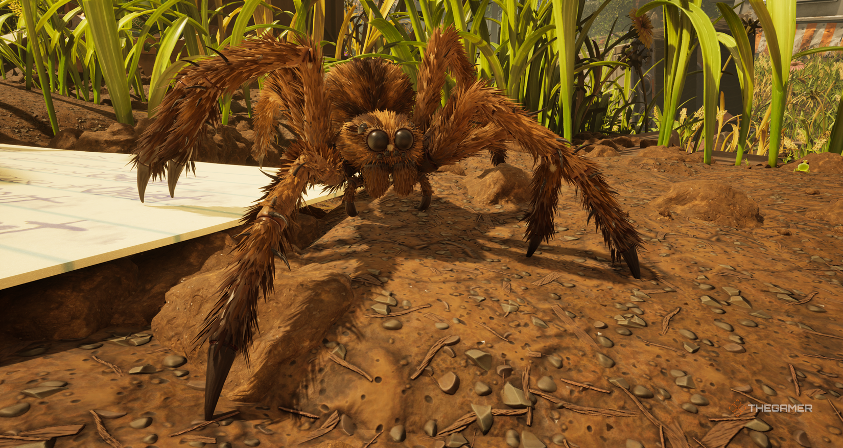 arachnophobia 2