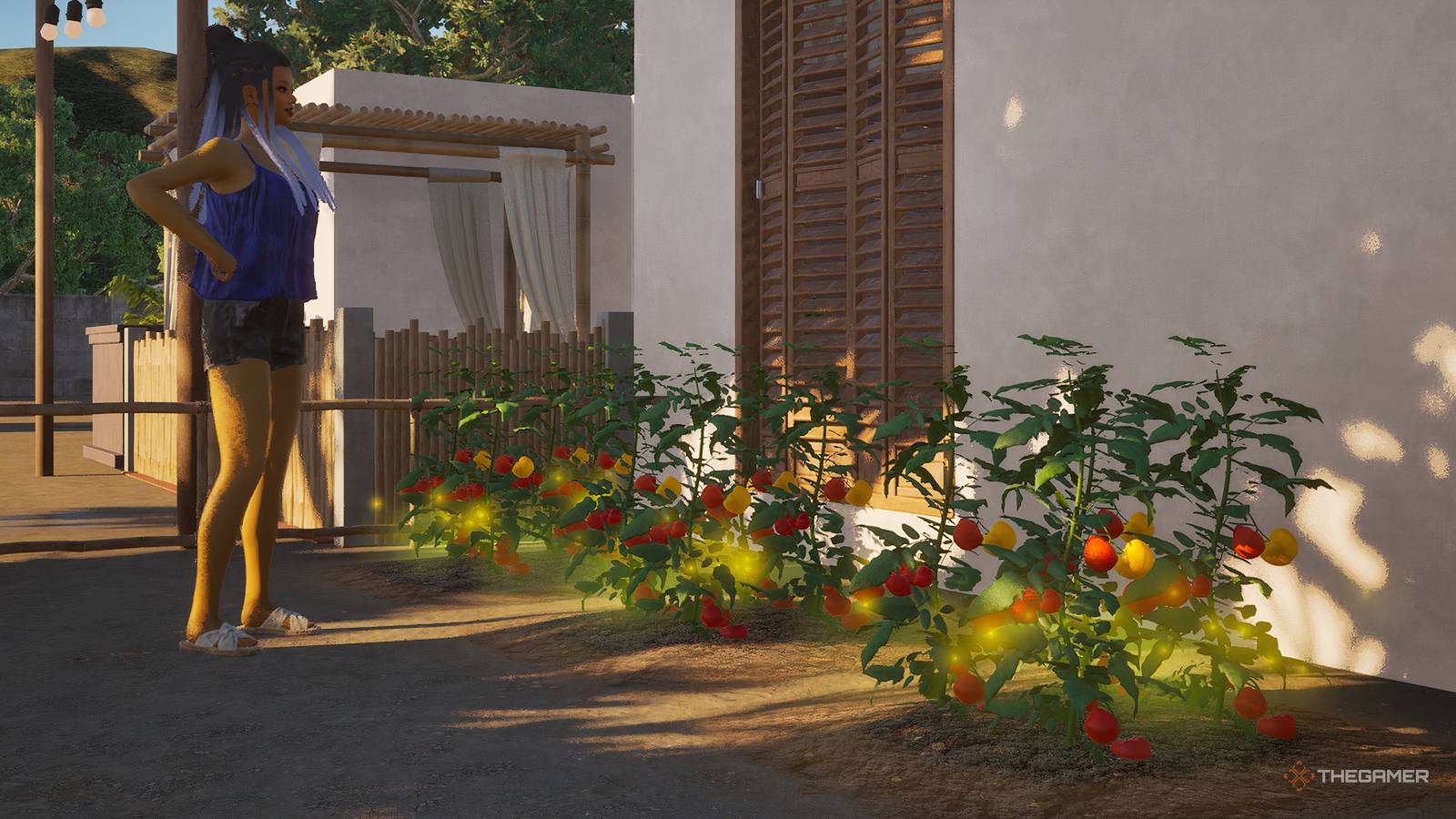 How To Plant And Grow Crops In InZoi