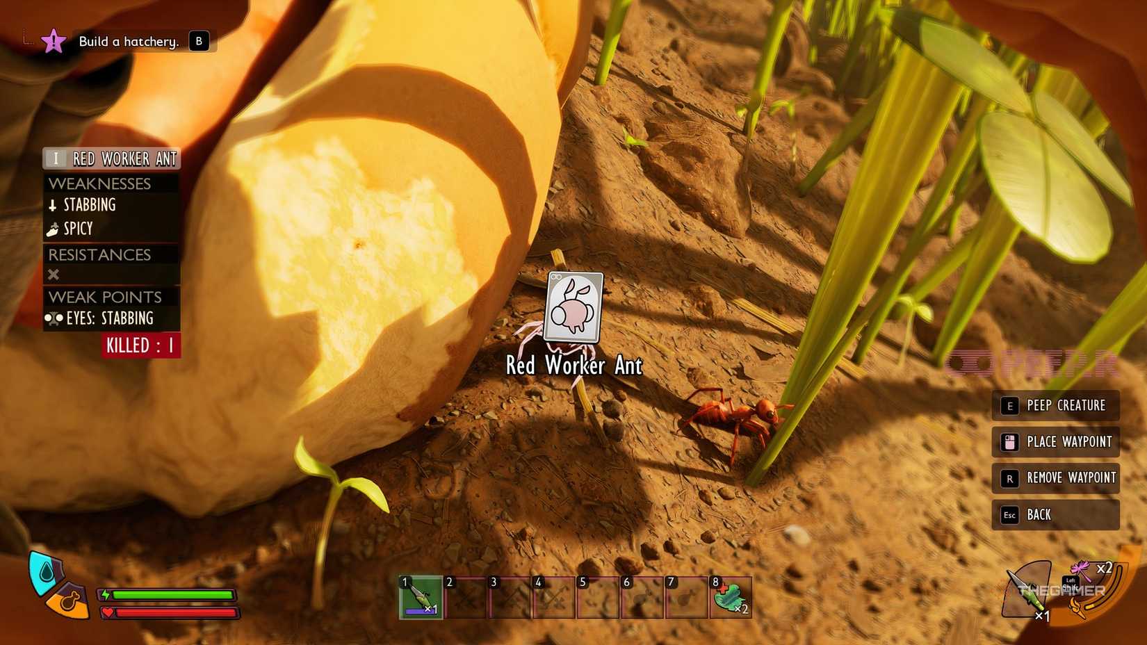 All Creatures And How To Deal With Them In Grounded 2