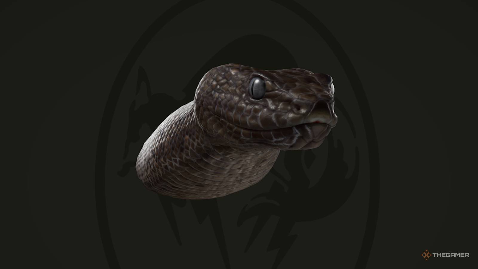 Where To Find And Catch A Tsuchinoko In Metal Gear Solid Delta: Snake Eater