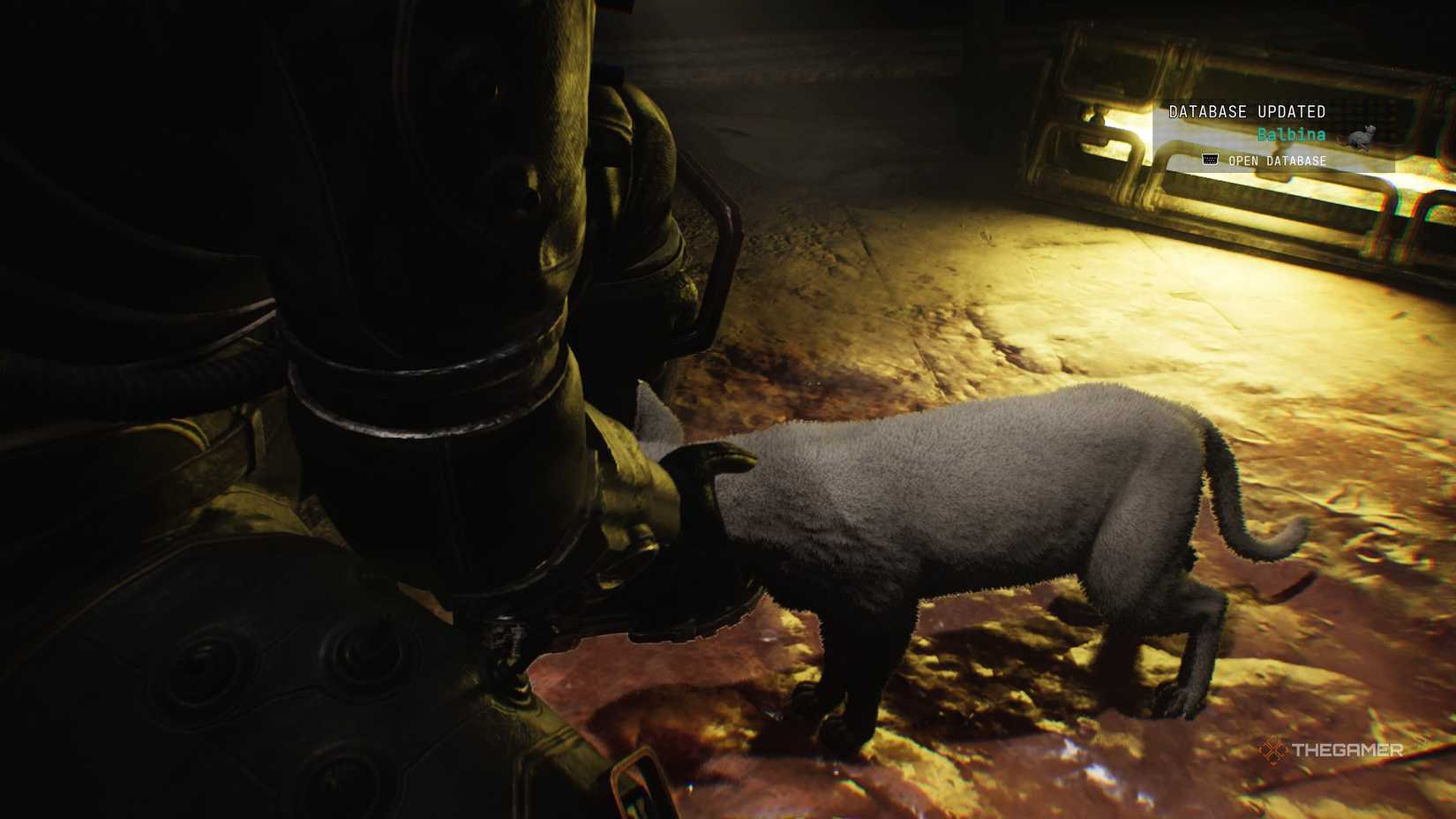 Where To Find And Pet All Cats In Cronos: The New Dawn