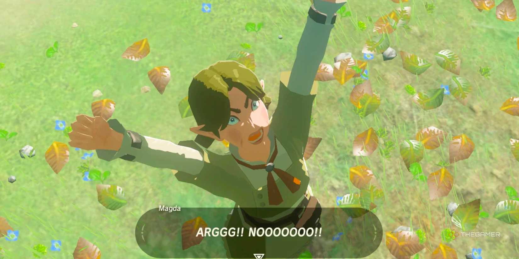 Funniest NPC Interactions In The Legend Of Zelda Series
