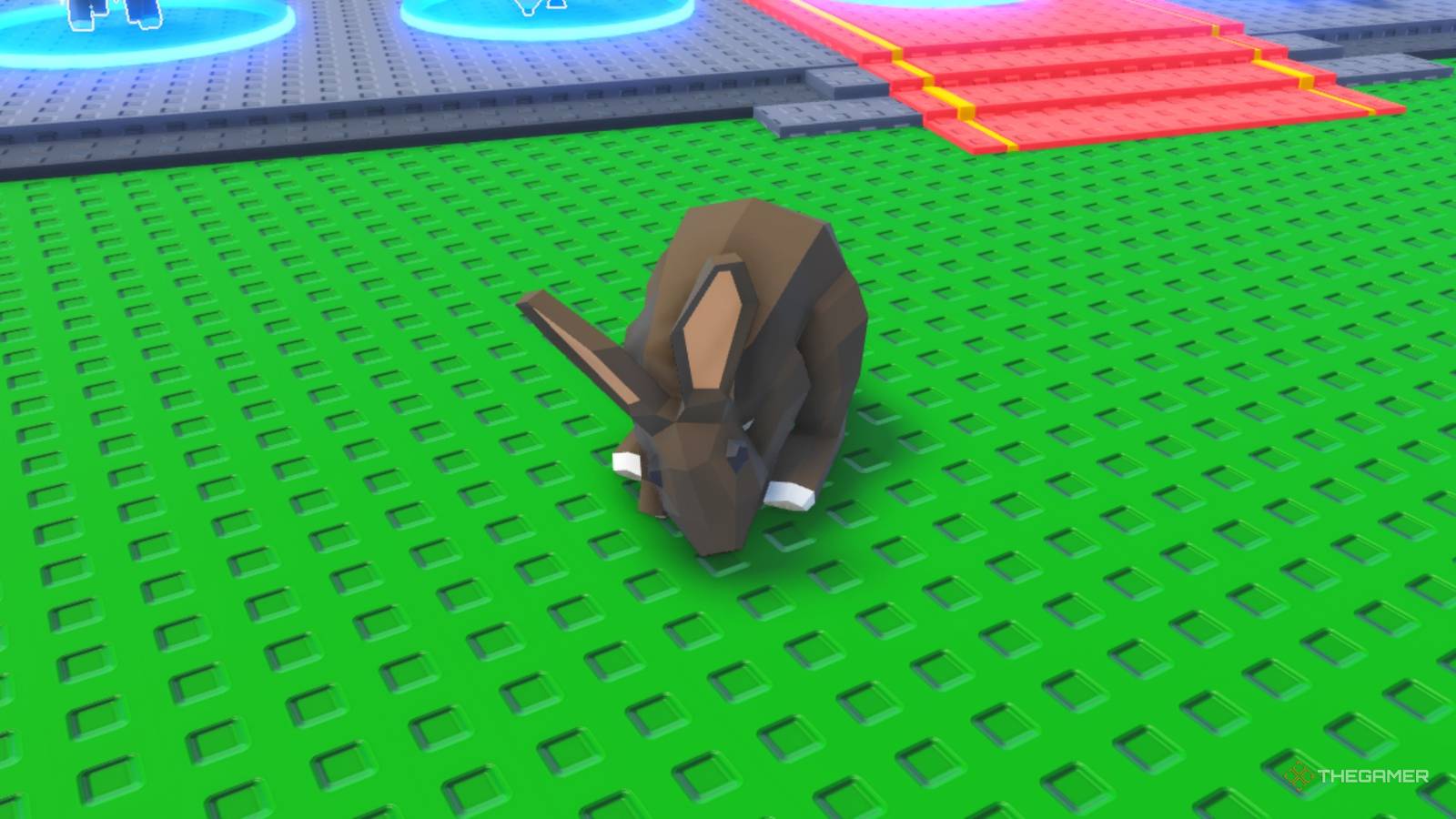 Animal Training Codes - Roblox