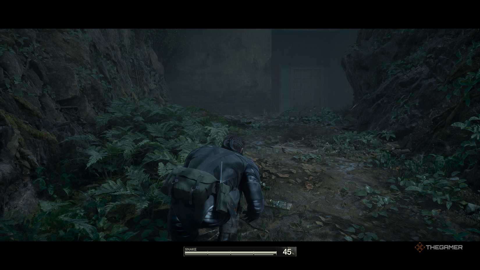 Where To Find And Catch A Tsuchinoko In Metal Gear Solid Delta: Snake Eater