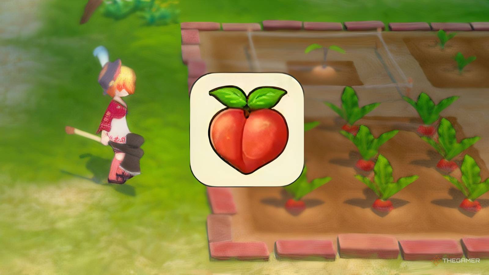 All Power Berry Locations In SoS: Grand Bazaar