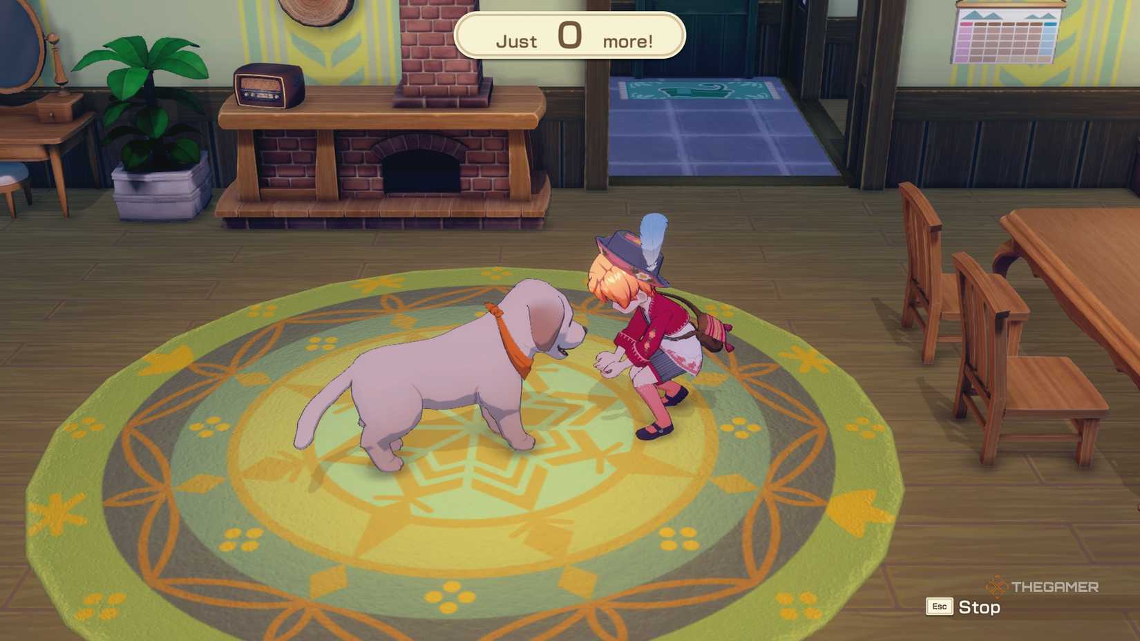 All Pets And How To Get Them In SoS: Grand Bazaar