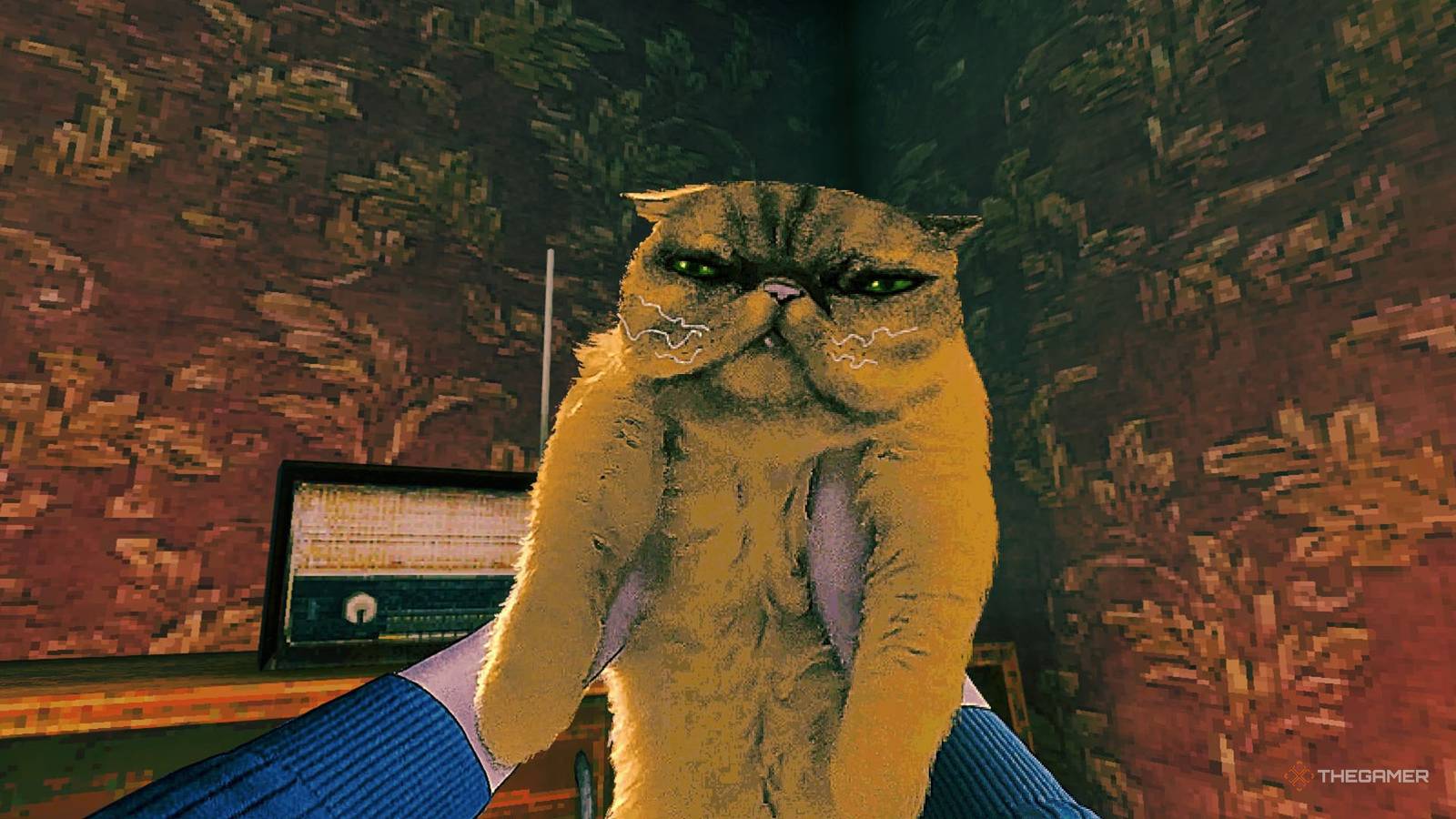 Things We Wish We Knew Before We Opened Our Door To Strangers In No, I ...