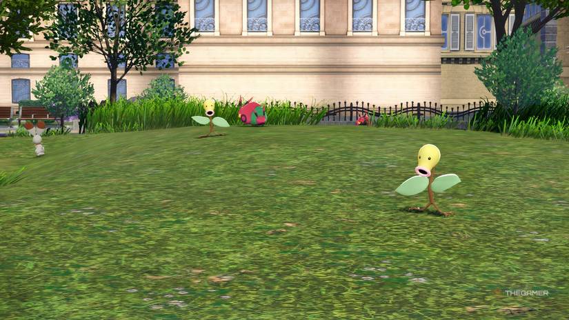 How To Find And Evolve Bellsprout In Pokemon Legends: Z-A