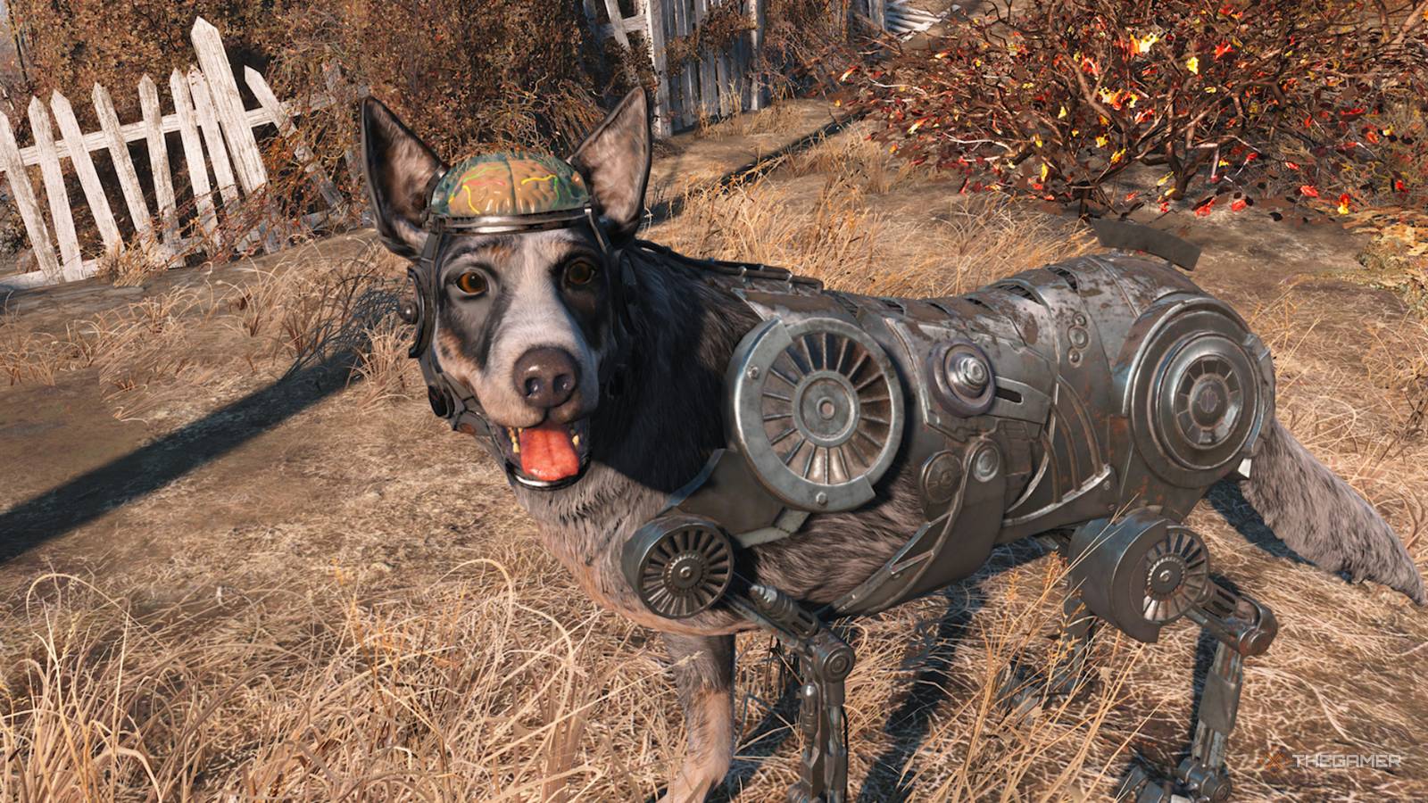 How To Unlock The Cyber Dog Companion In Fallout 4