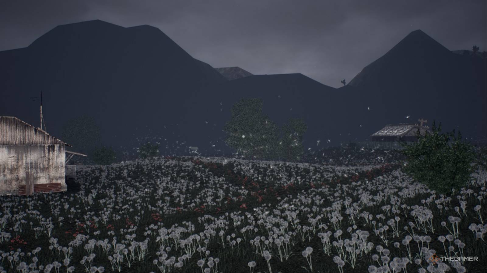 How To Find And Plant Seeds In Misery