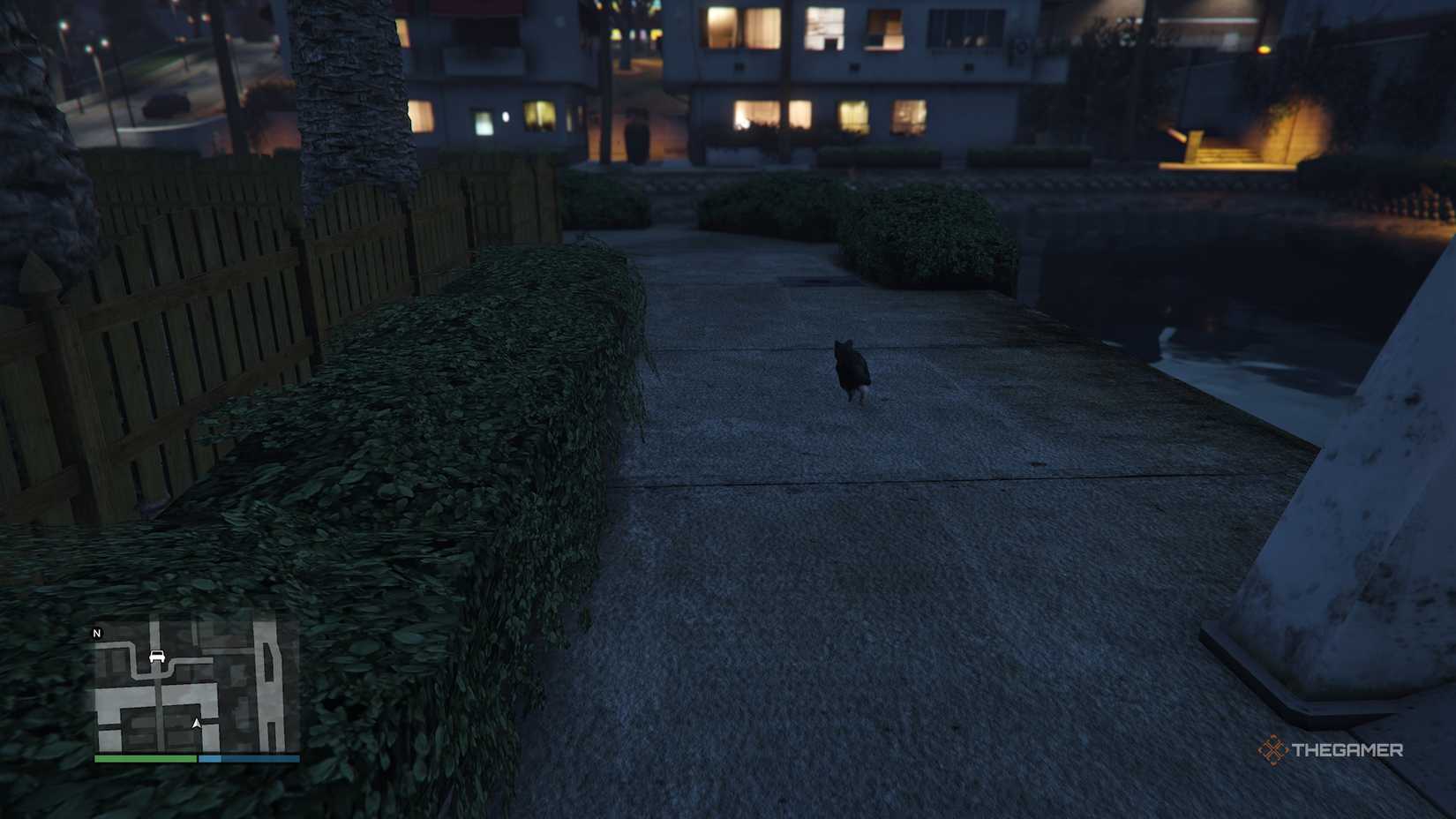 Where To Find Each Type Of Animal In GTA Online