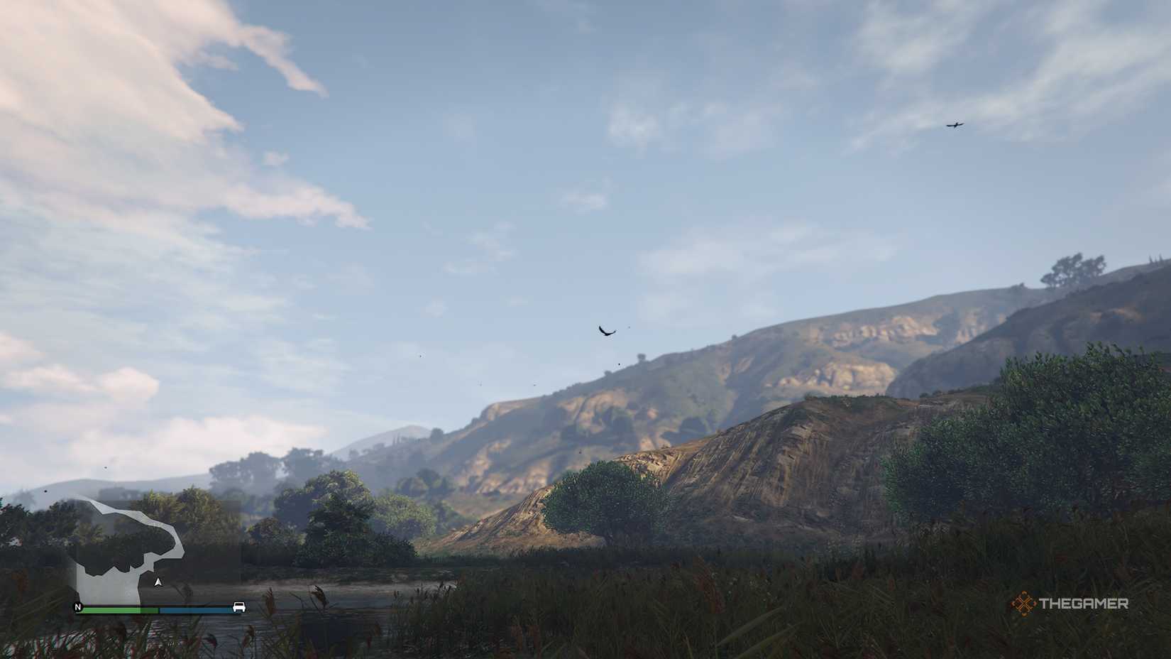 Where To Find Each Type Of Animal In GTA Online