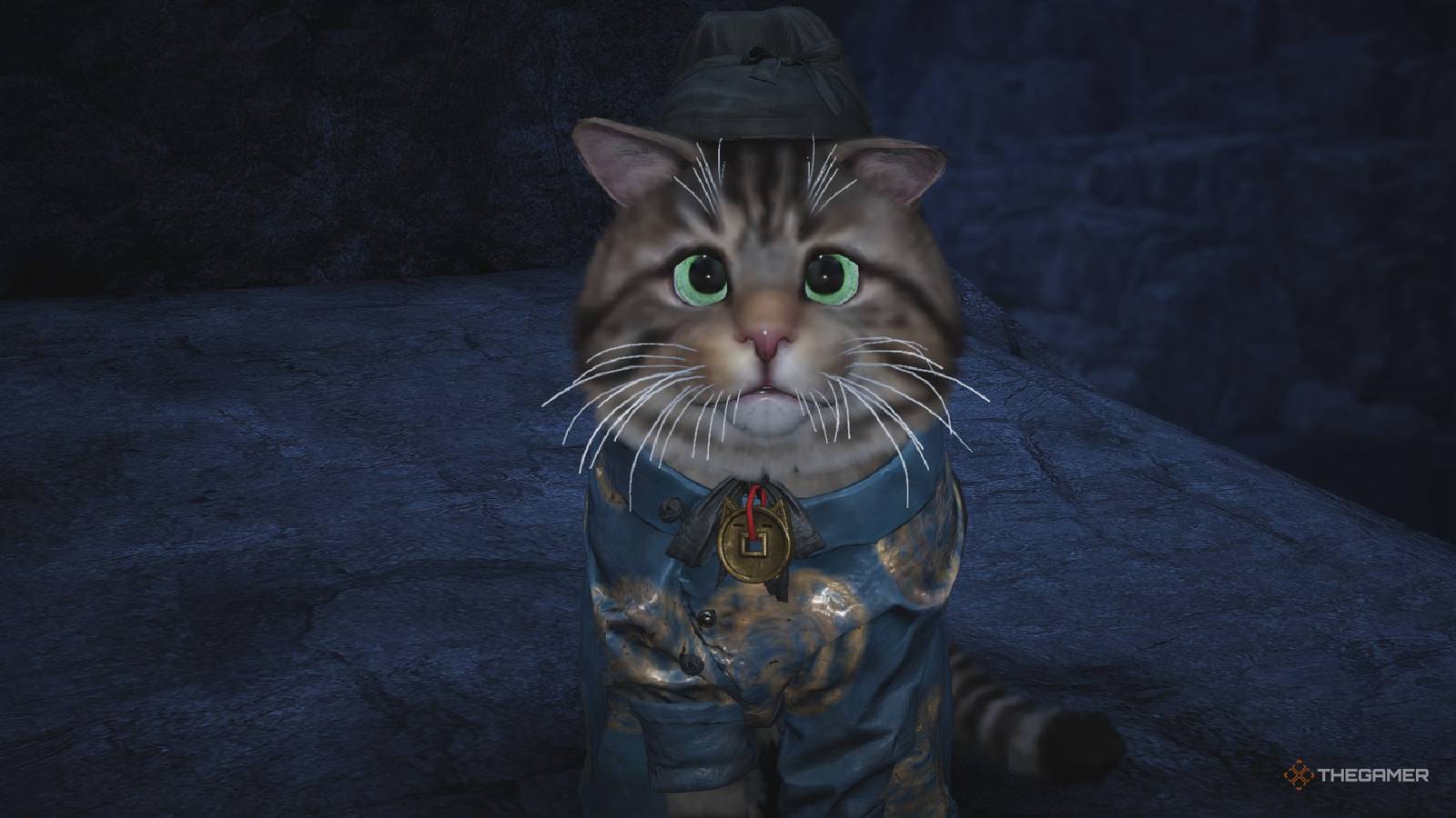 How To Solve All Kaifeng Meow Puzzles In Where Winds Meet