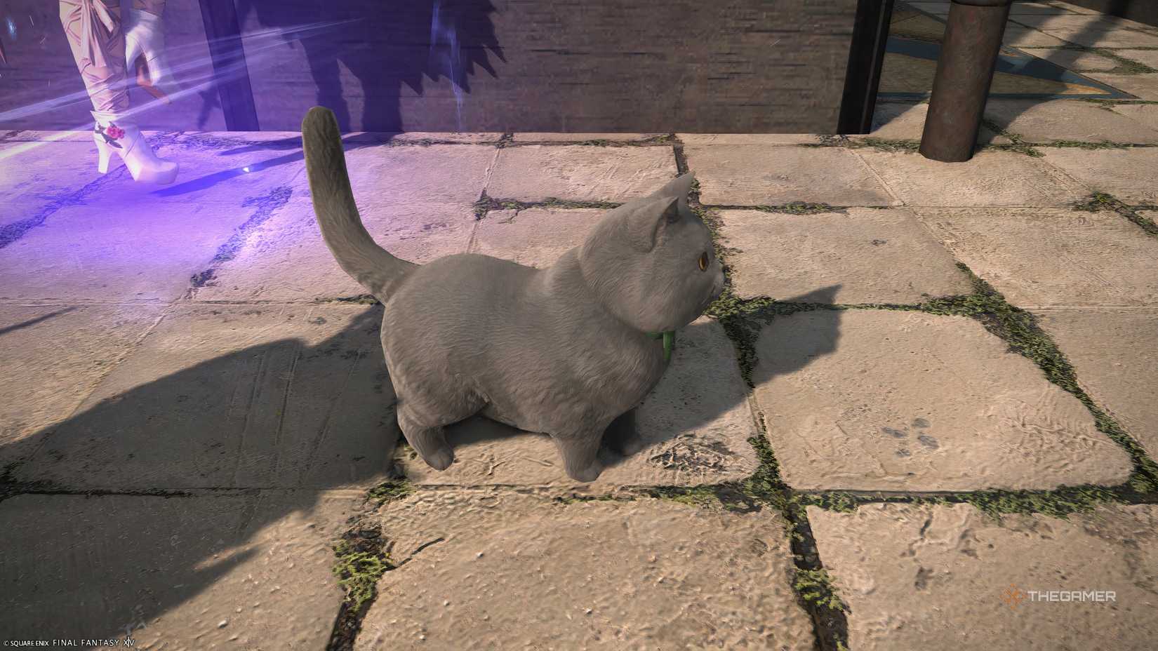 How To Unlock All Patch 7.4 Mounts And Minions In FFXIV