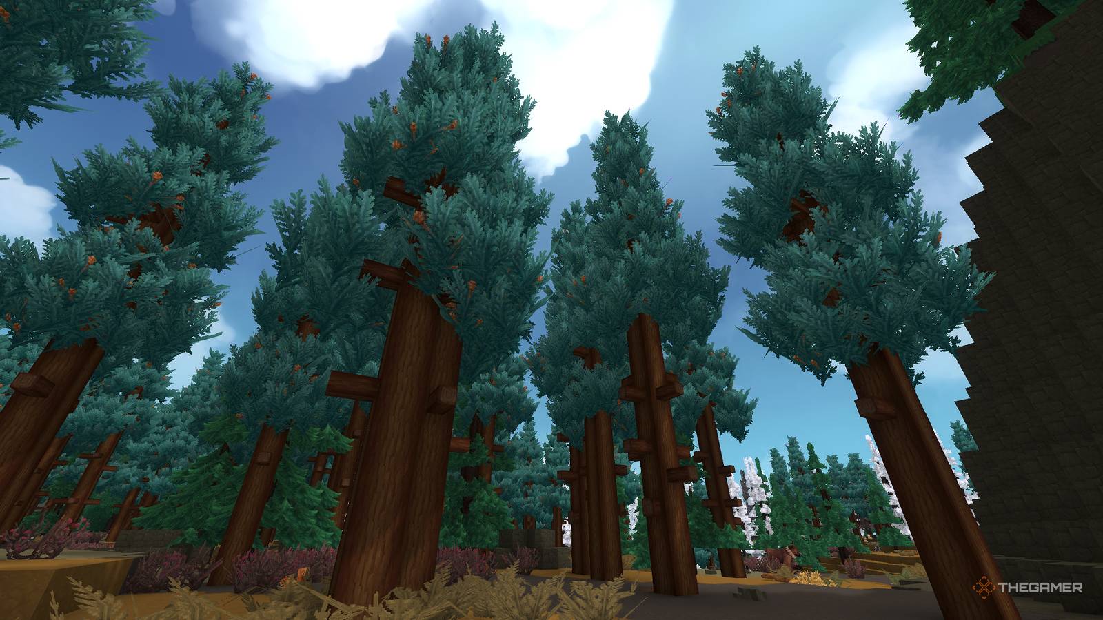 How To Find And Use Cedar Logs In Hytale