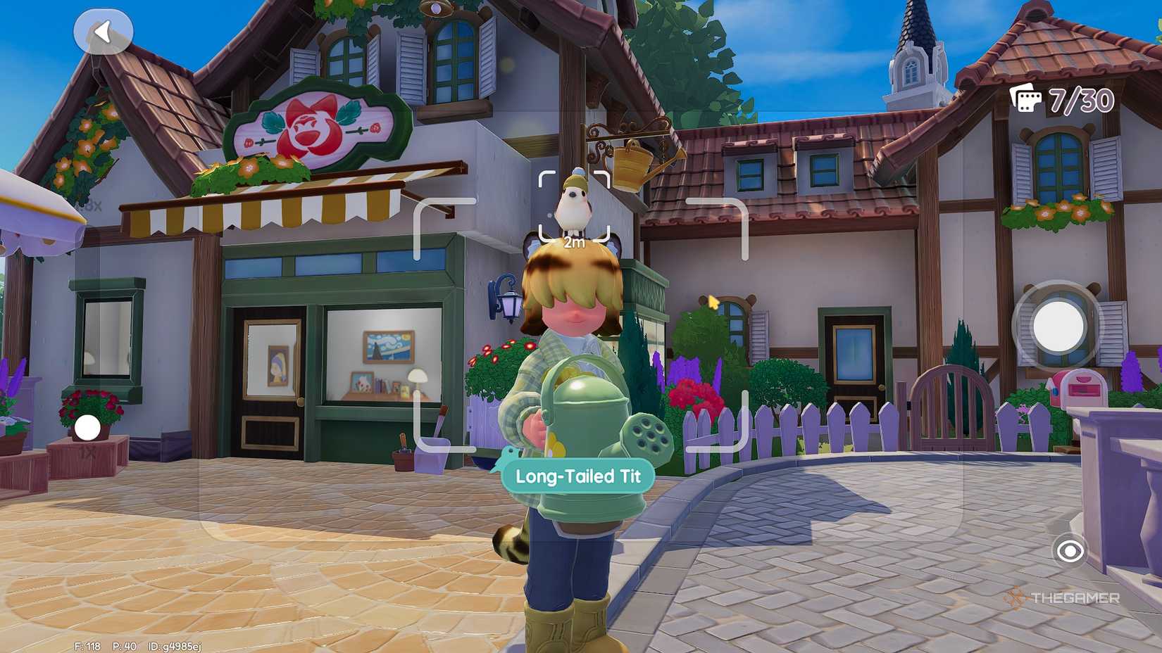 All Birds And Where To Find Them In Heartopia
