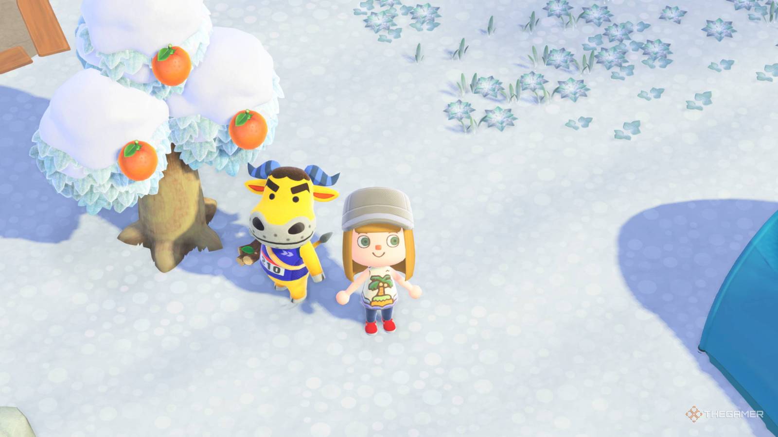 Every New Feature Added In The Animal Crossing: New Horizons Switch 2 ...