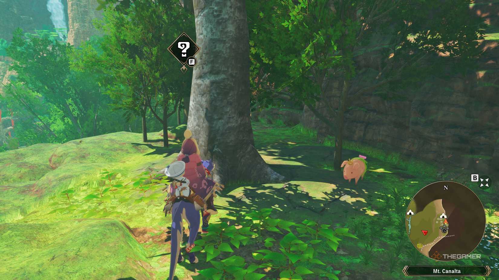 Where To Find All Poogies In Canalta Timberland In Monster Hunter Stories 3