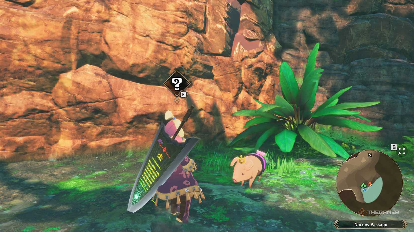 Where To Find All Poogies In Canalta Timberland In Monster Hunter Stories 3