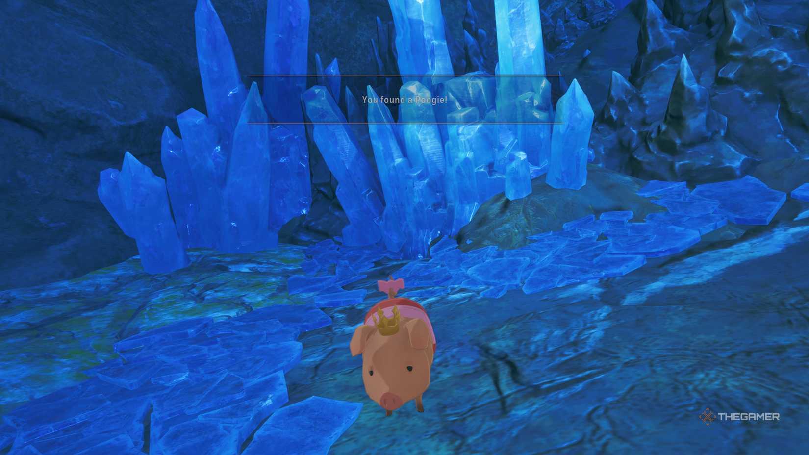 Where To Find All Poogies In Canalta Timberland In Monster Hunter Stories 3