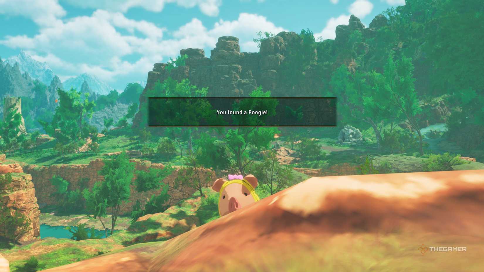 Where To Find All Poogies In Canalta Timberland In Monster Hunter Stories 3