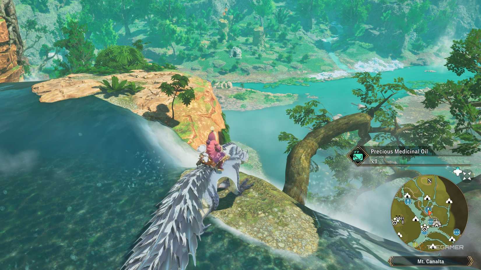 Where To Find All Track Items In Canalta Timberland In Monster Hunter ...